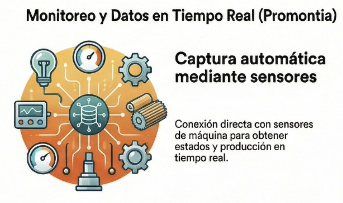 Noti Procusto – Número 6 – Papyro